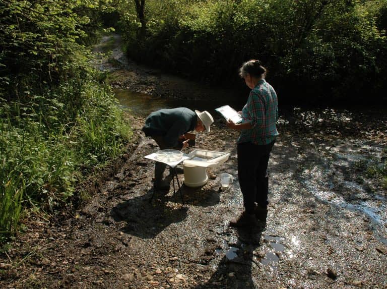 Project – Riverfly Monitoring – River Sid Catchment Group
