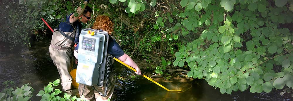 Project – Electrofishing Surveys – River Sid Catchment Group